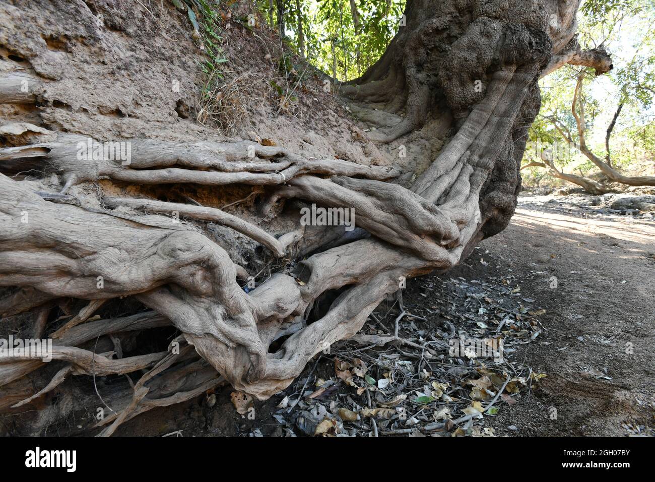 Mckinlay river nt hi-res stock photography and images - Alamy