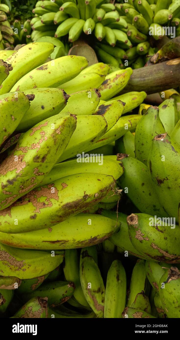 Clusters of banana hi-res stock photography and images - Alamy