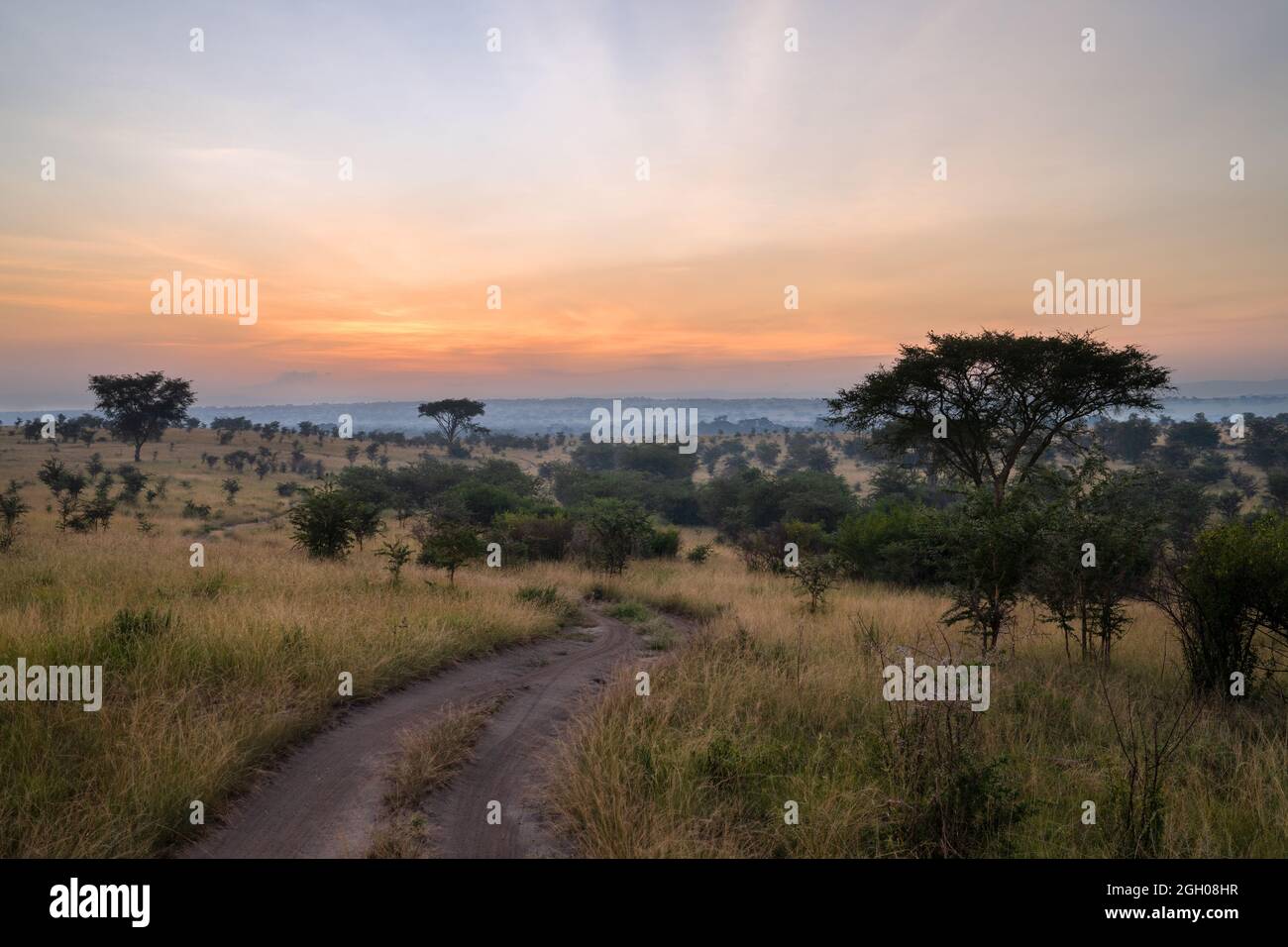 Panoramic image, sunrise at National Parks of Uganda Stock Photo - Alamy