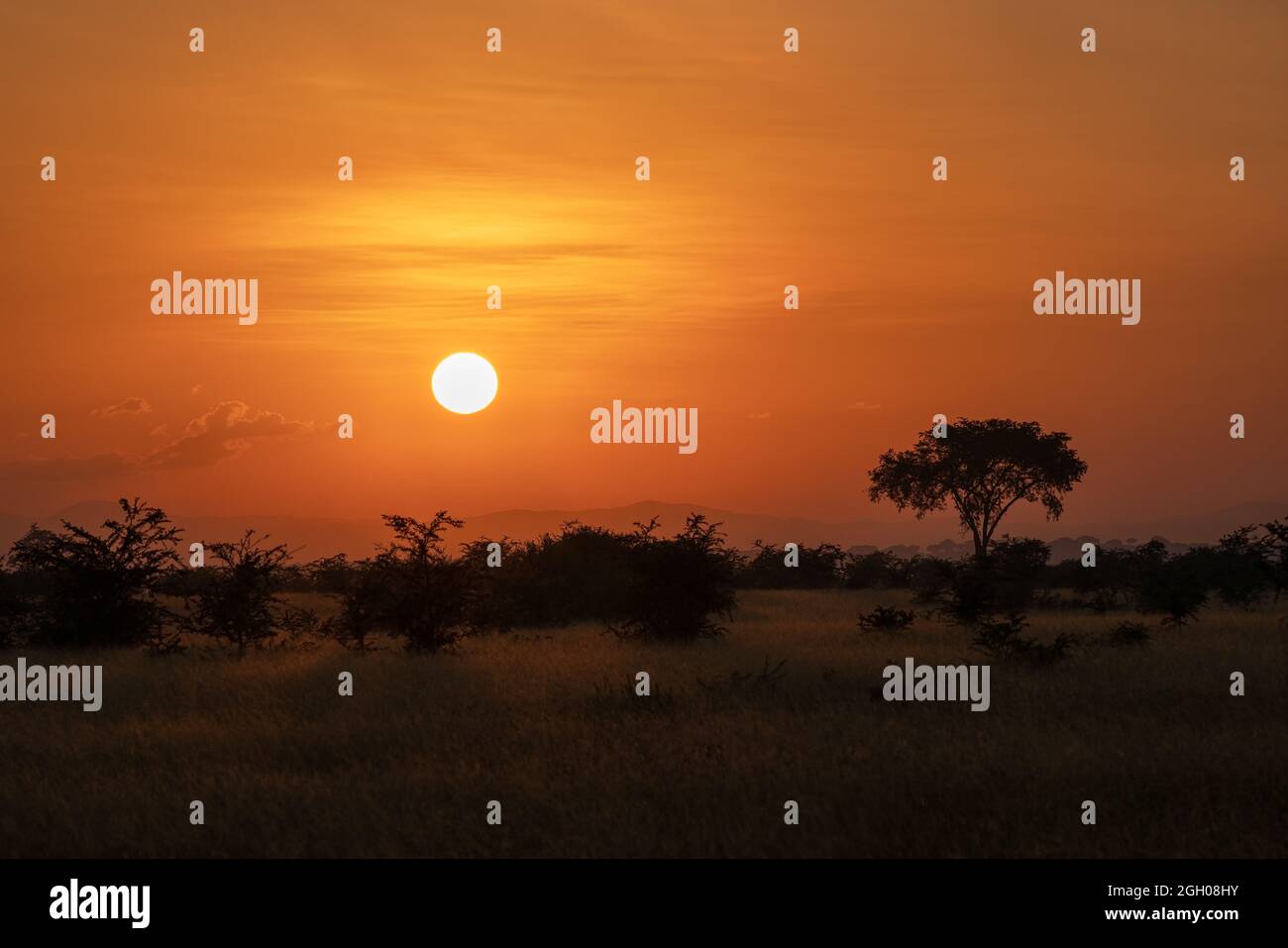 Panoramic image, sunrise at National Parks of Uganda Stock Photo - Alamy