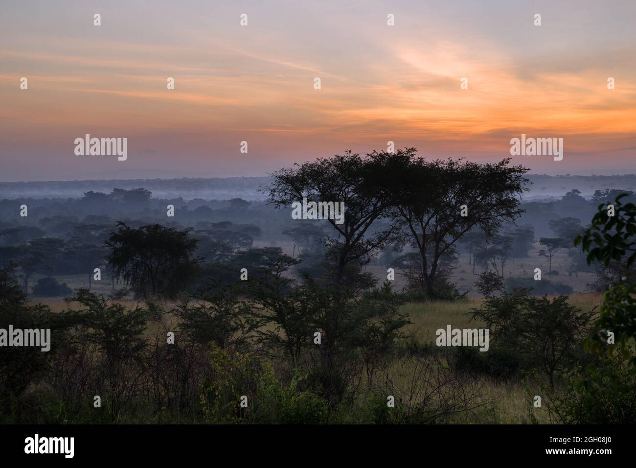 Panoramic image, sunrise at National Parks of Uganda Stock Photo - Alamy