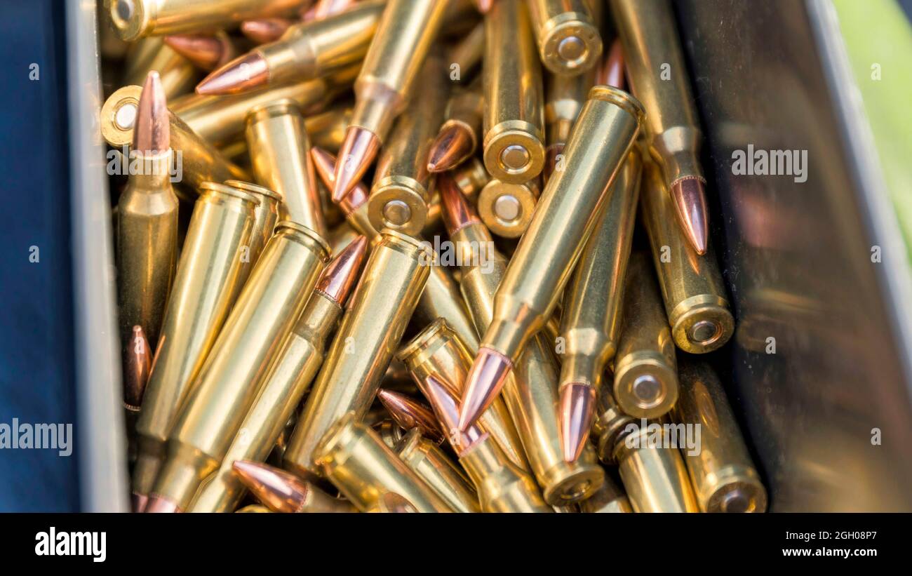 Pano Loads of long sharp bullets inside its case with a blue cloth on ...