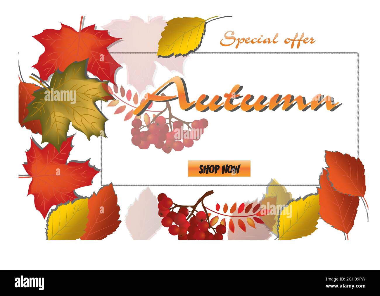 Autumn calligraphy. Seasonal lettering.web banner template.vector ...
