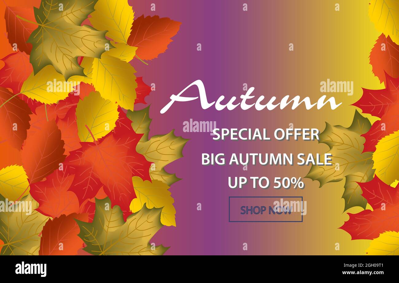 Autumn calligraphy. Seasonal lettering.web banner template.vector ...