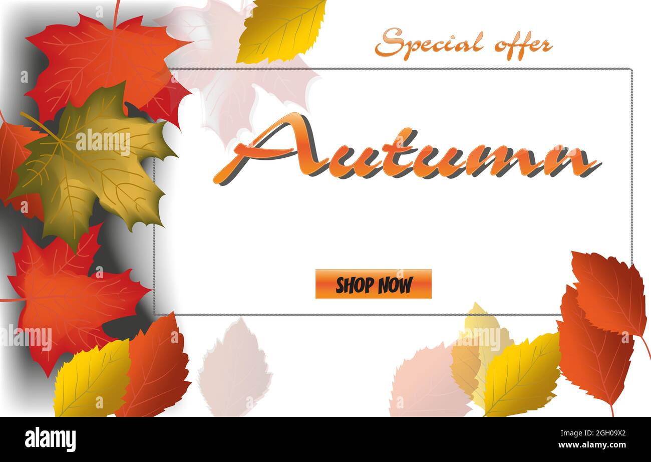 Autumn calligraphy. Seasonal lettering.web banner template.vector ...