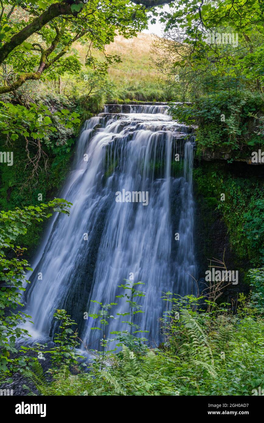 Aysgill Force Waterfall, Hawes, Yorkshire Dales, UK Stock Photo - Alamy