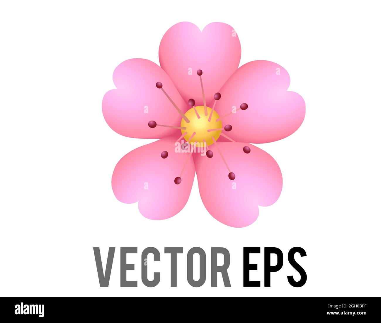 Cherry flower in japanese Stock Vector Images - Alamy