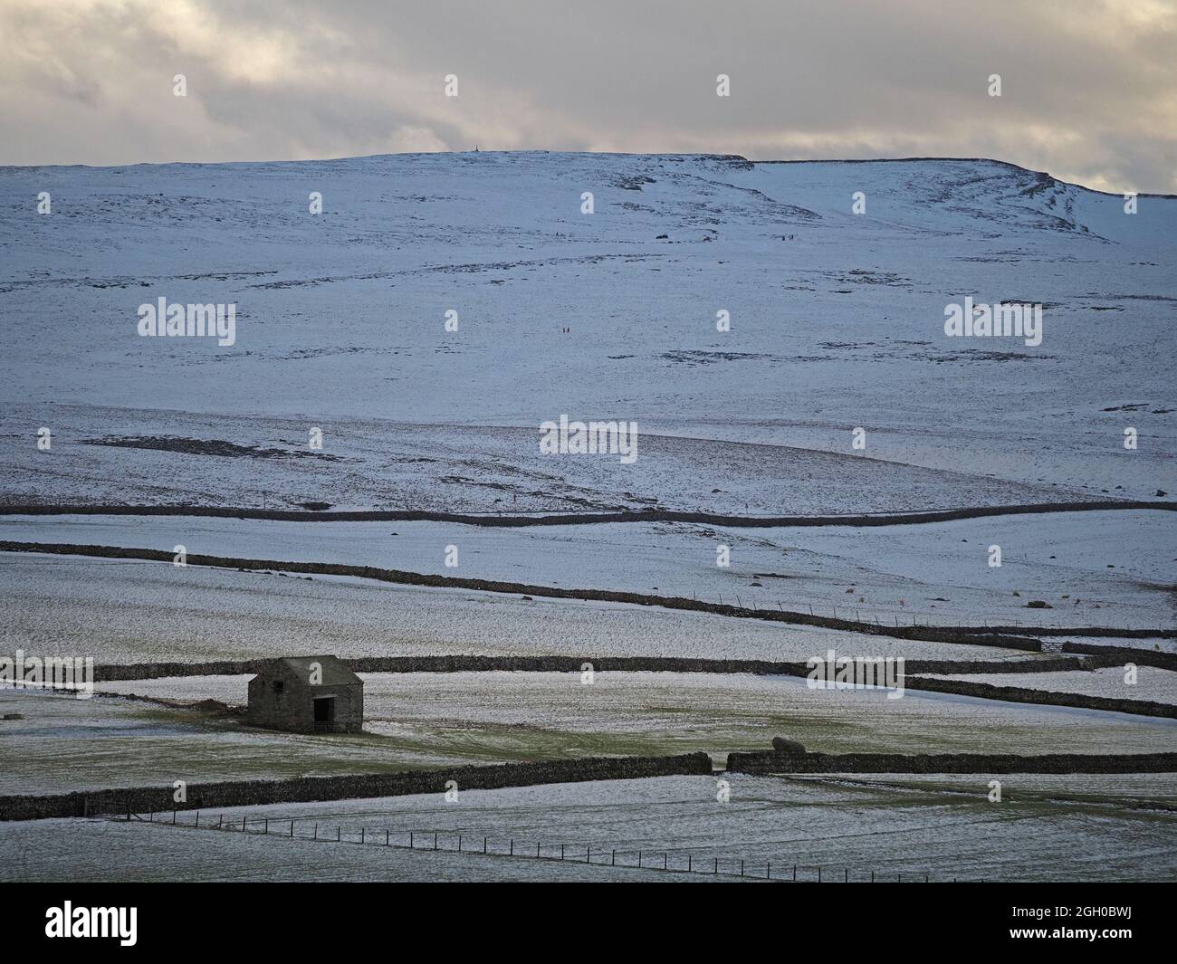 Winter landscape with barn in snowy fields lined with fences & walls ...