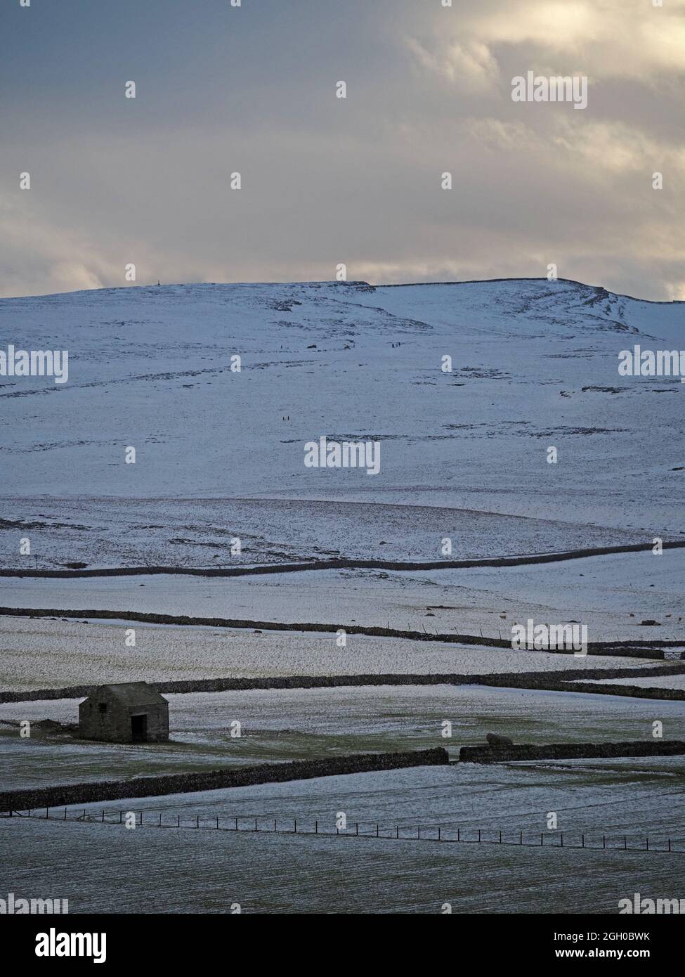 Winter landscape with barn in snowy fields lined with fences & walls ...