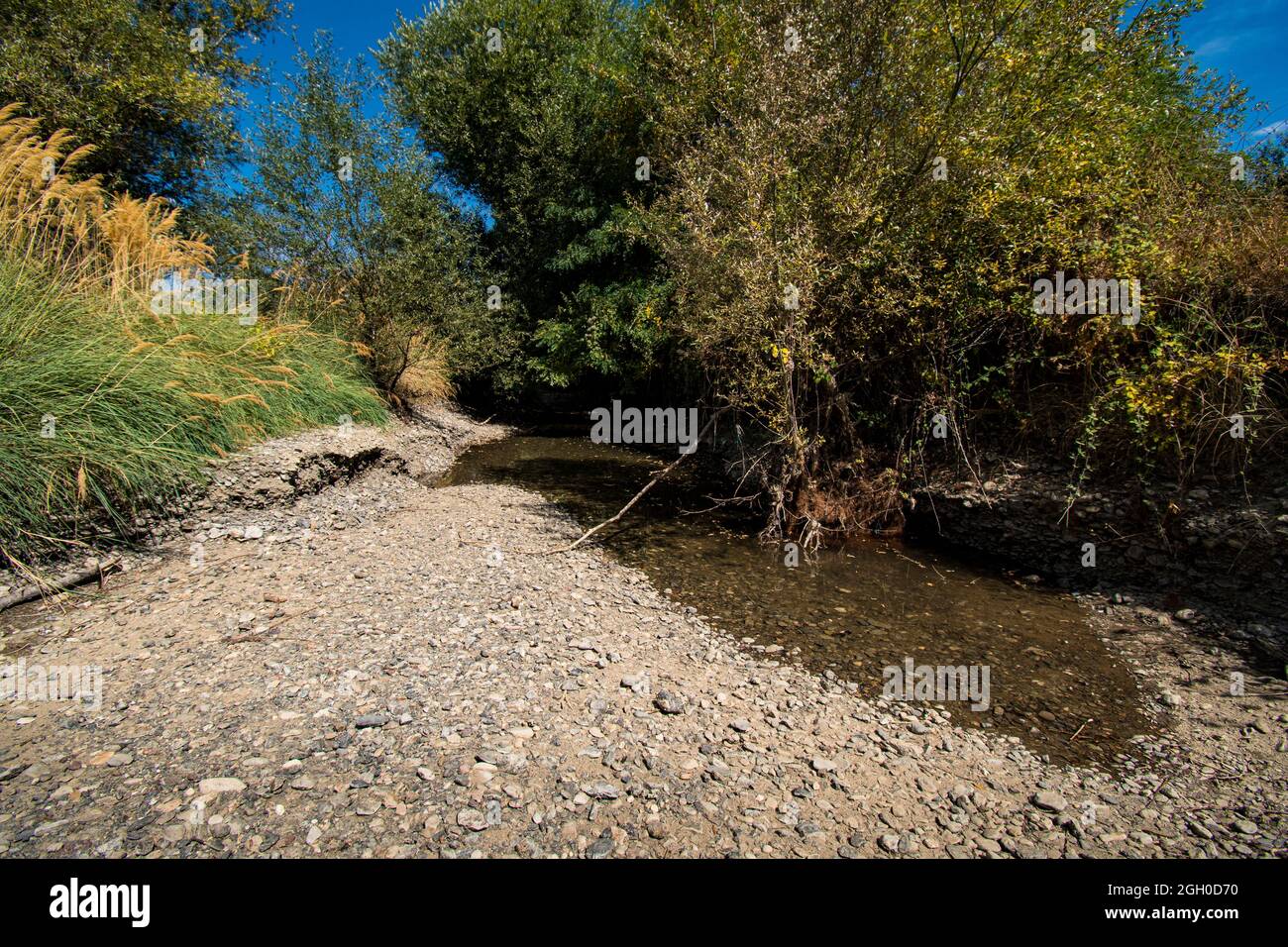 The riverbed without water, the drought takes its toll Stock Photo - Alamy