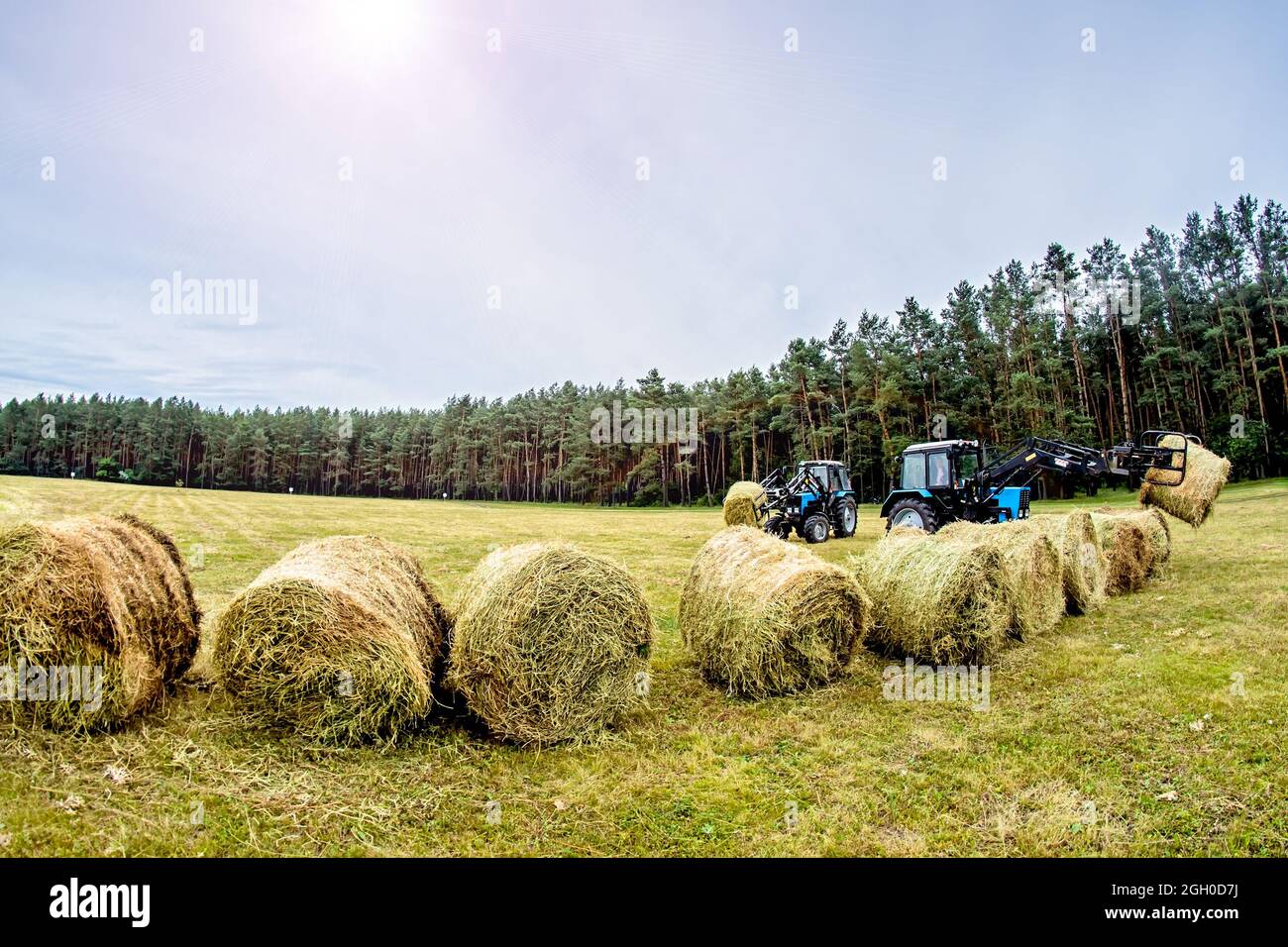 tractor hay stacks in the field. Toning Stock Photo - Alamy