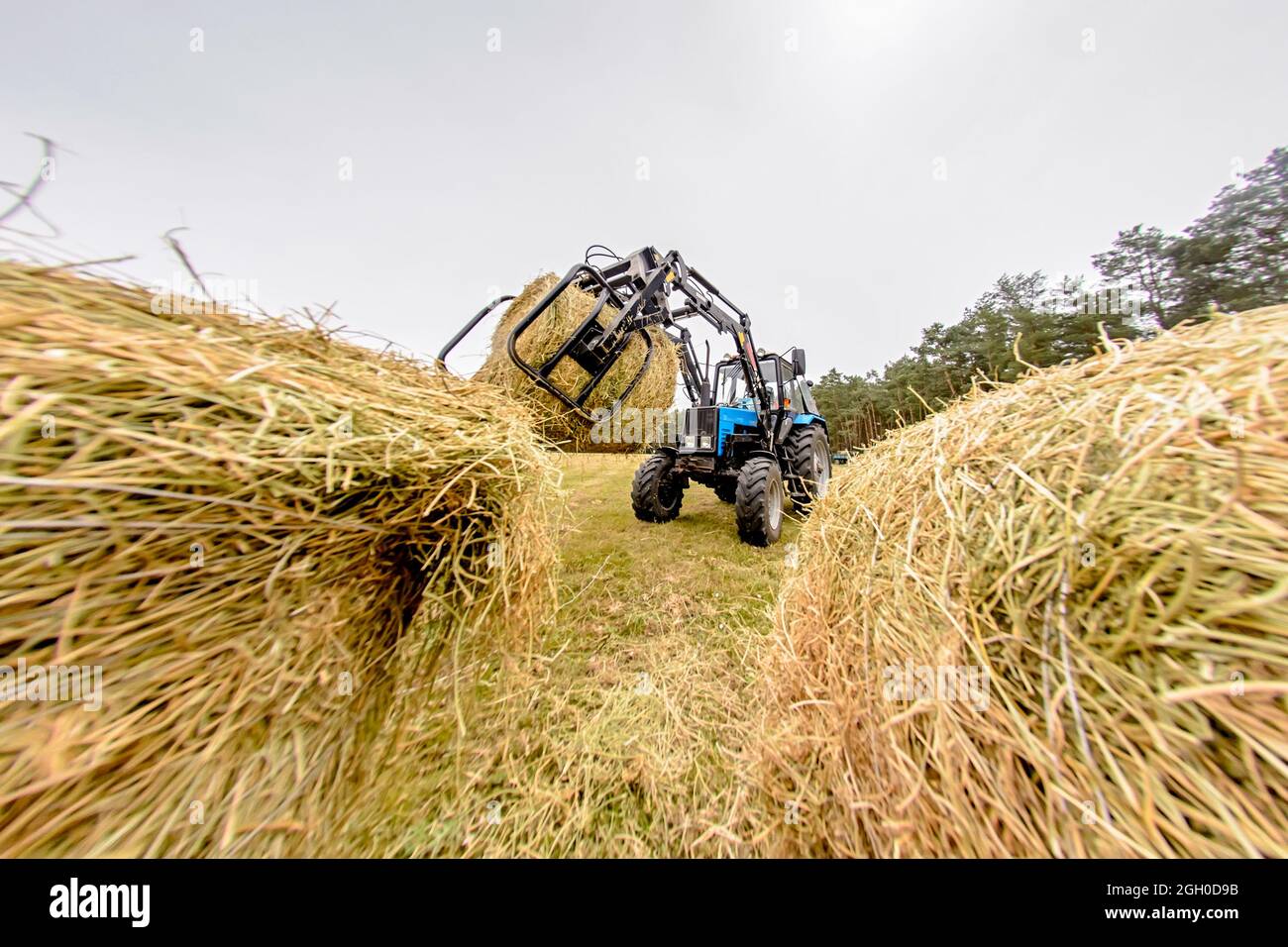 tractor hay stacks in the field. Toning Stock Photo - Alamy