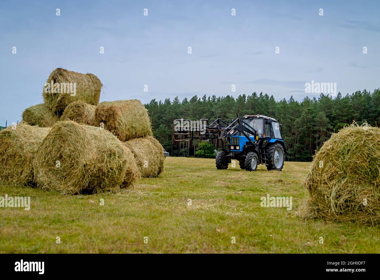 tractor hay stacks in the field Stock Photo - Alamy