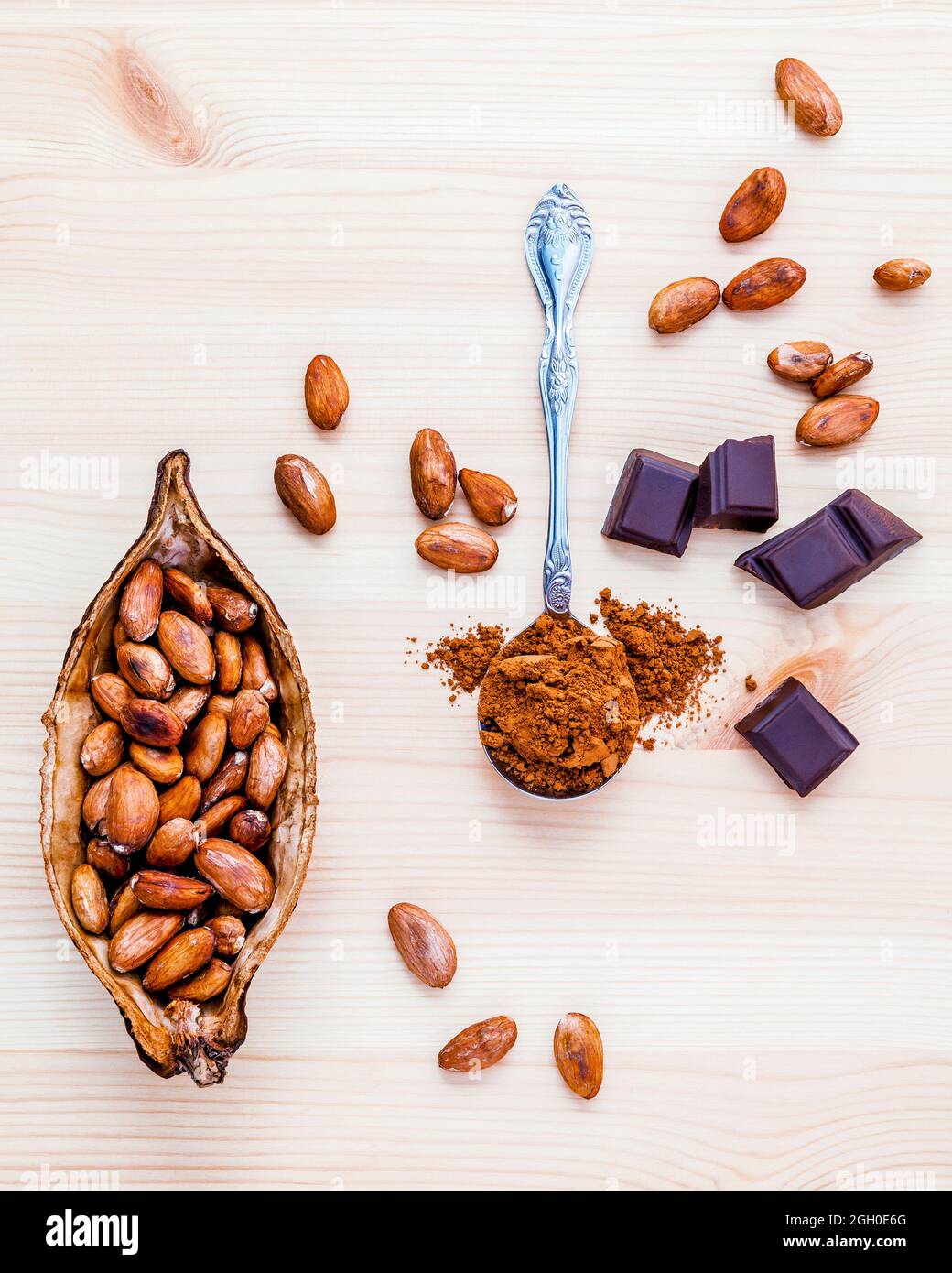 Brown chocolate powder in spoon , Roasted cocoa beans and dark ...