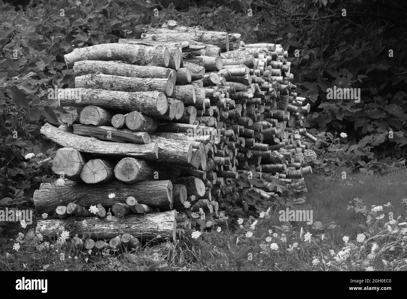 A pile of neatly stacked logs in a garden Stock Photo - Alamy