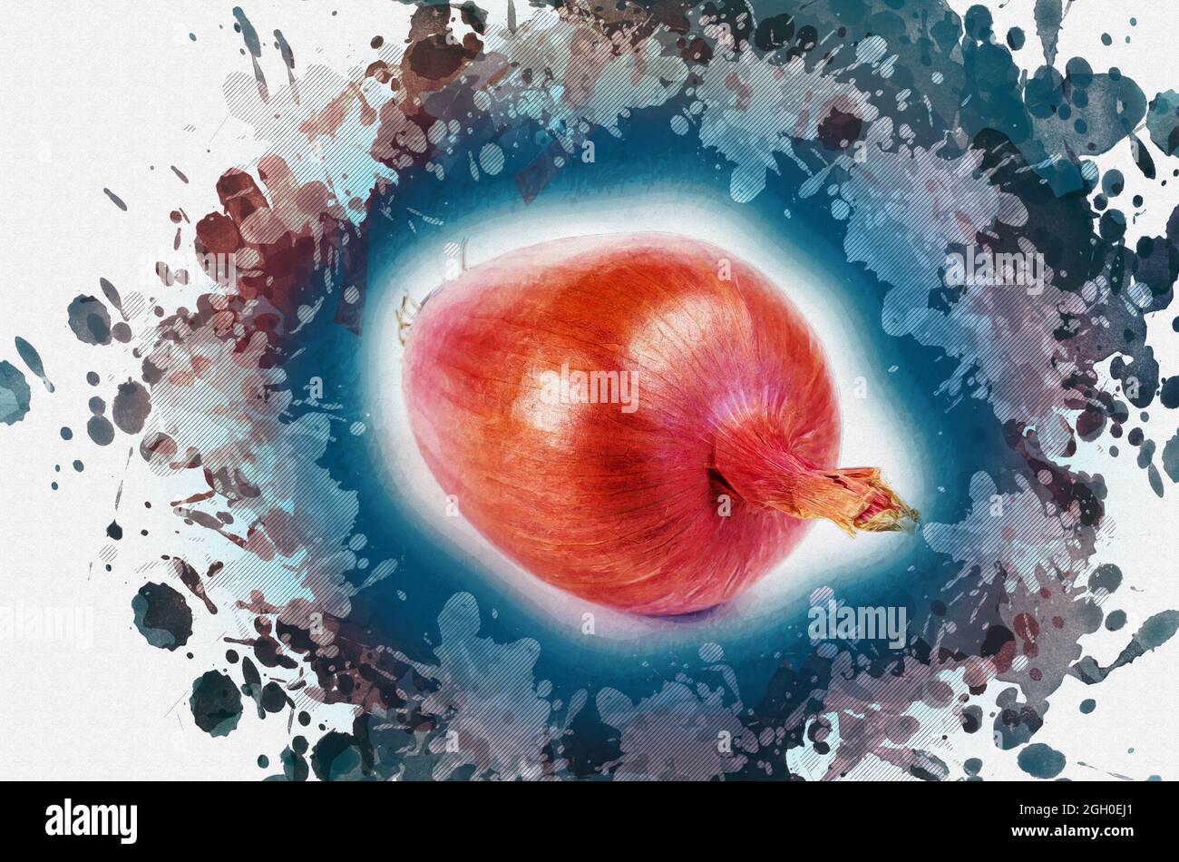 Italian Onion Ramata di Milano. One Ripe root vegetable in the p Stock ...