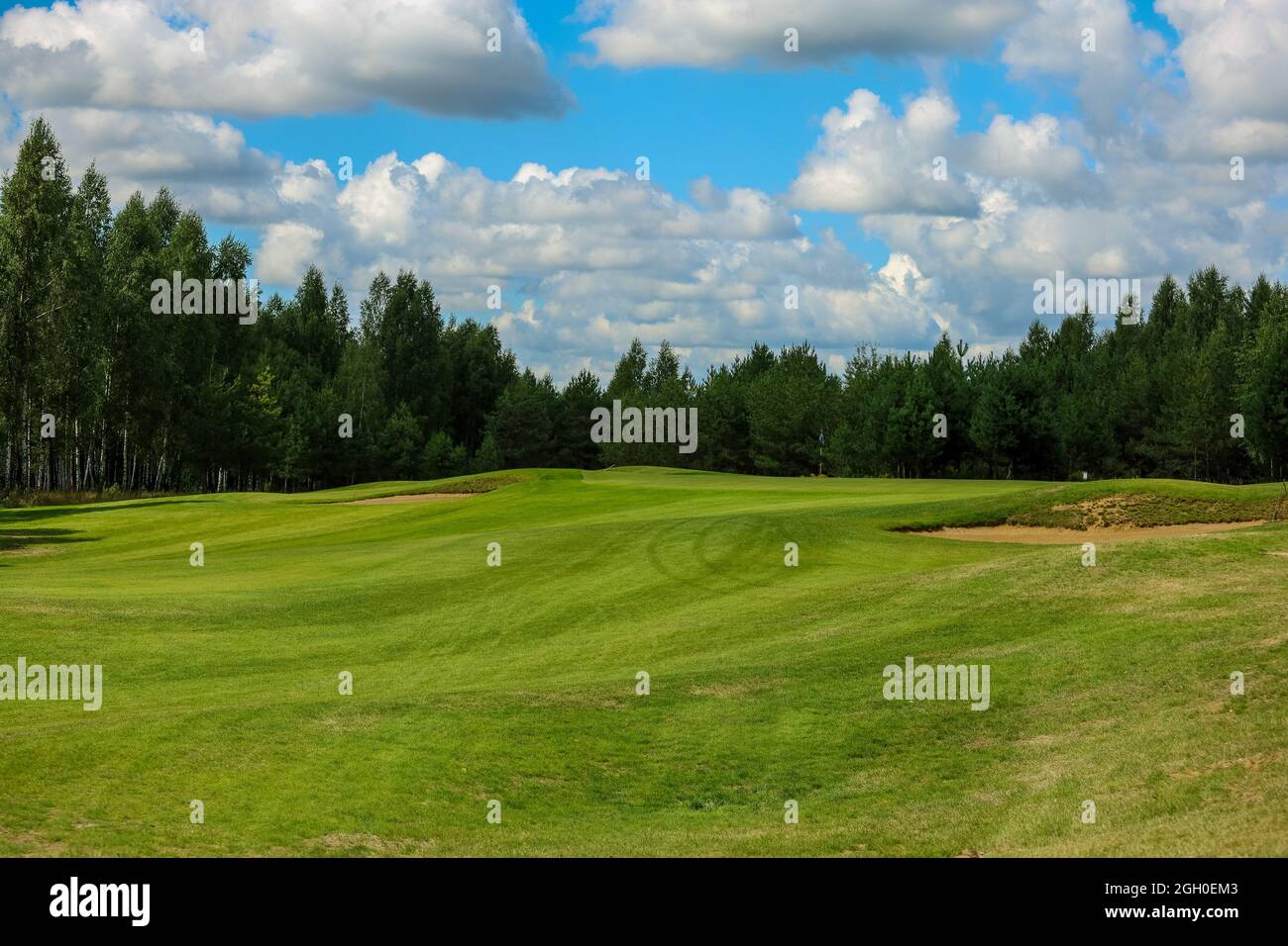 Golf course, landscape, green grass on the background of the forest and ...