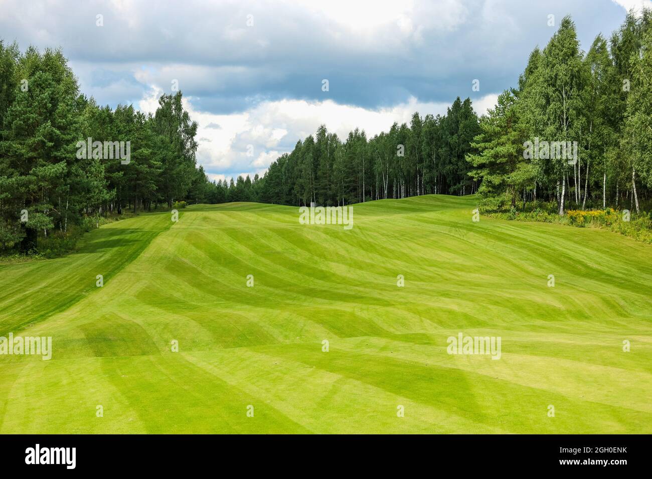 Golf course, landscape, green grass on the background of the forest and ...