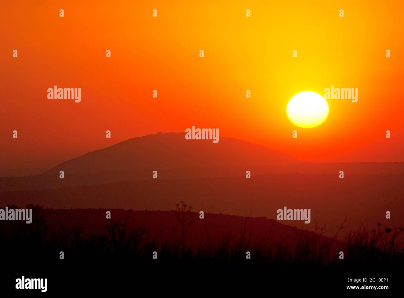Palestine wallpaper hi-res stock photography and images - Alamy