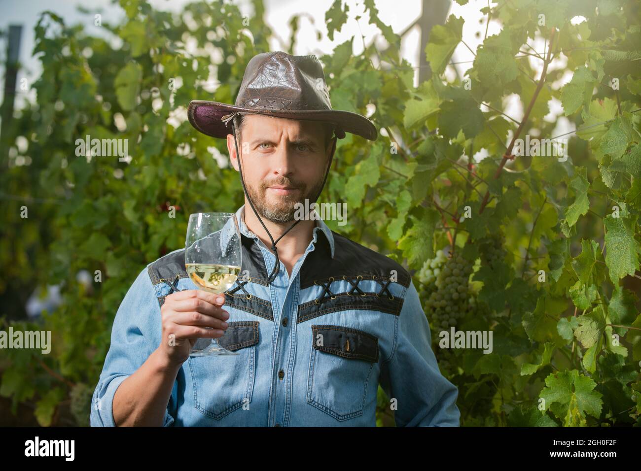 Enologist hi-res stock photography and images - Alamy