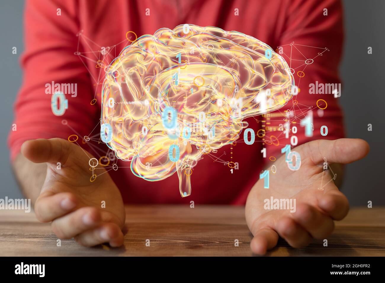 Digital concept of a human brain anatomical model floating on the hand ...