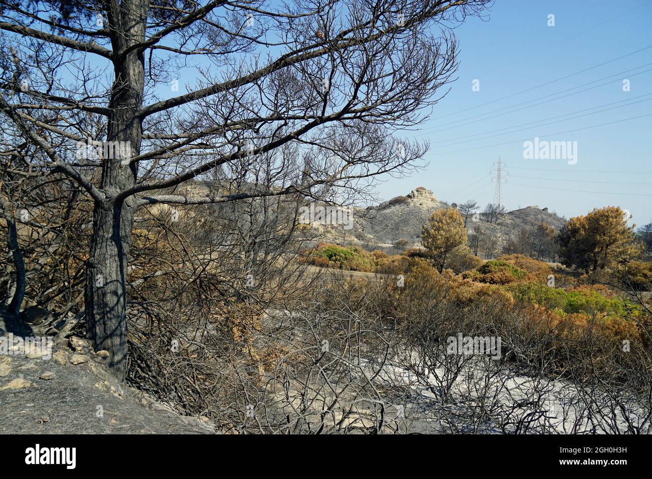 scorched landscape on rhodes island in greece after forest fire Stock ...