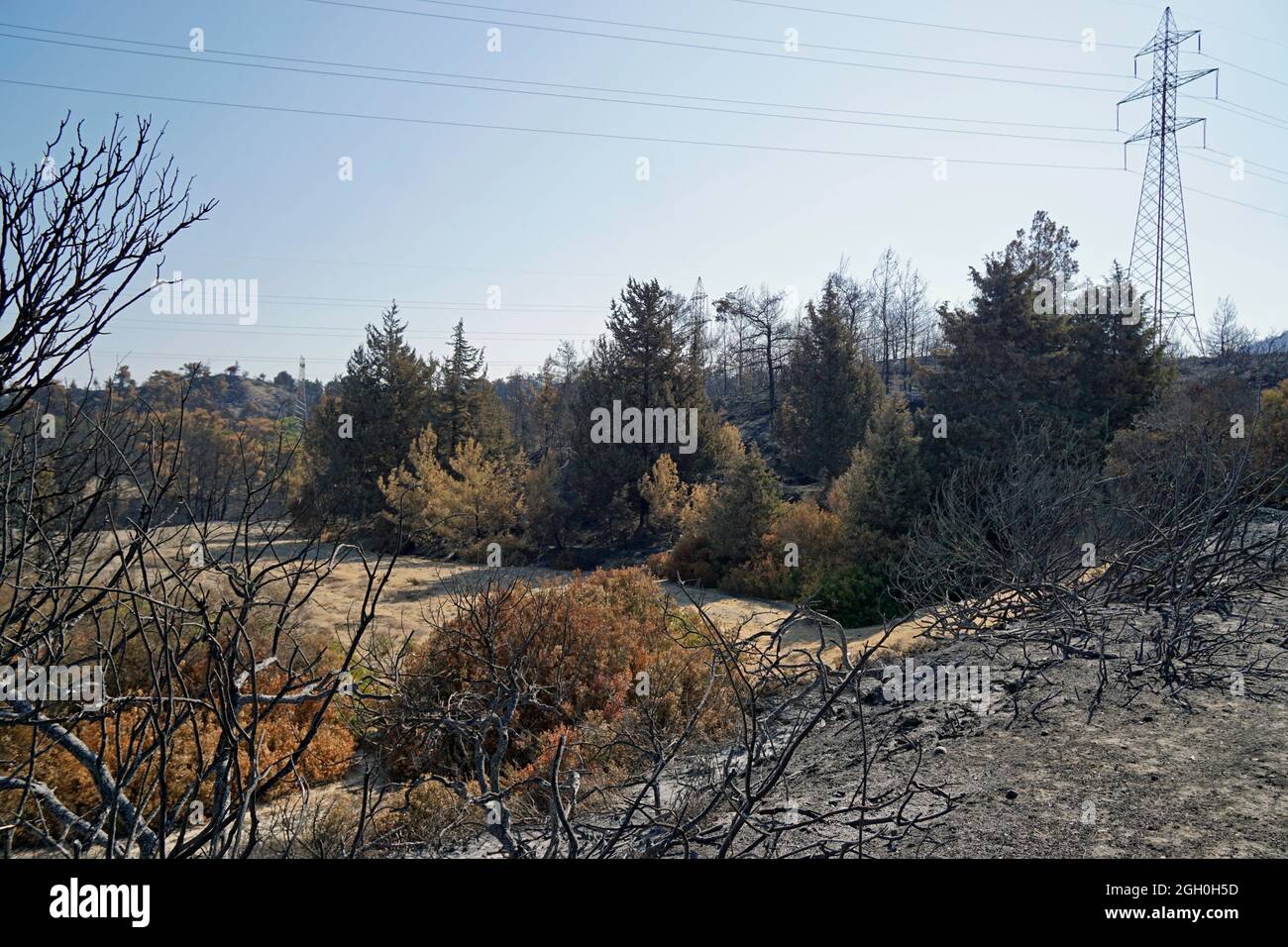 scorched landscape on rhodes island in greece after forest fire Stock ...