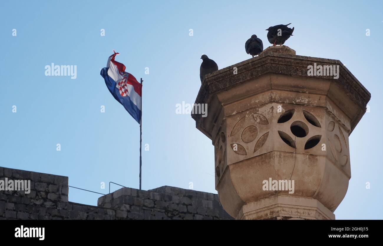 pigeons on an ancient Roman column, Dubrovnik, Croatia Stock Photo - Alamy