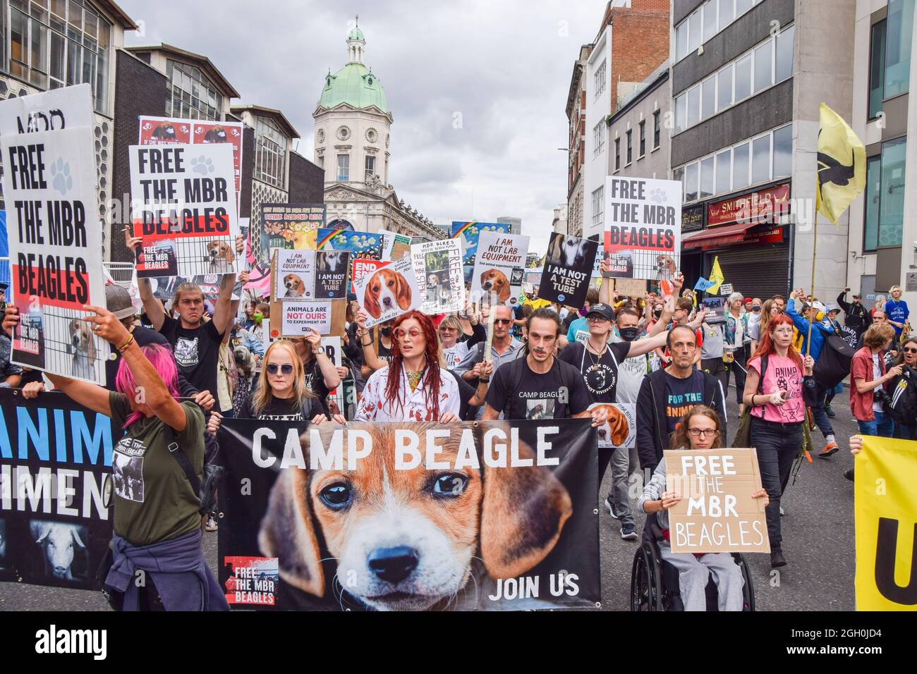 MBR Acres beagle activists at Smithfield Market during the National ...