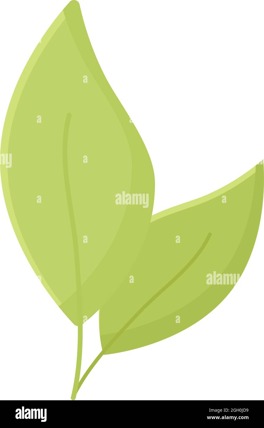two leaves design Stock Vector Image & Art - Alamy