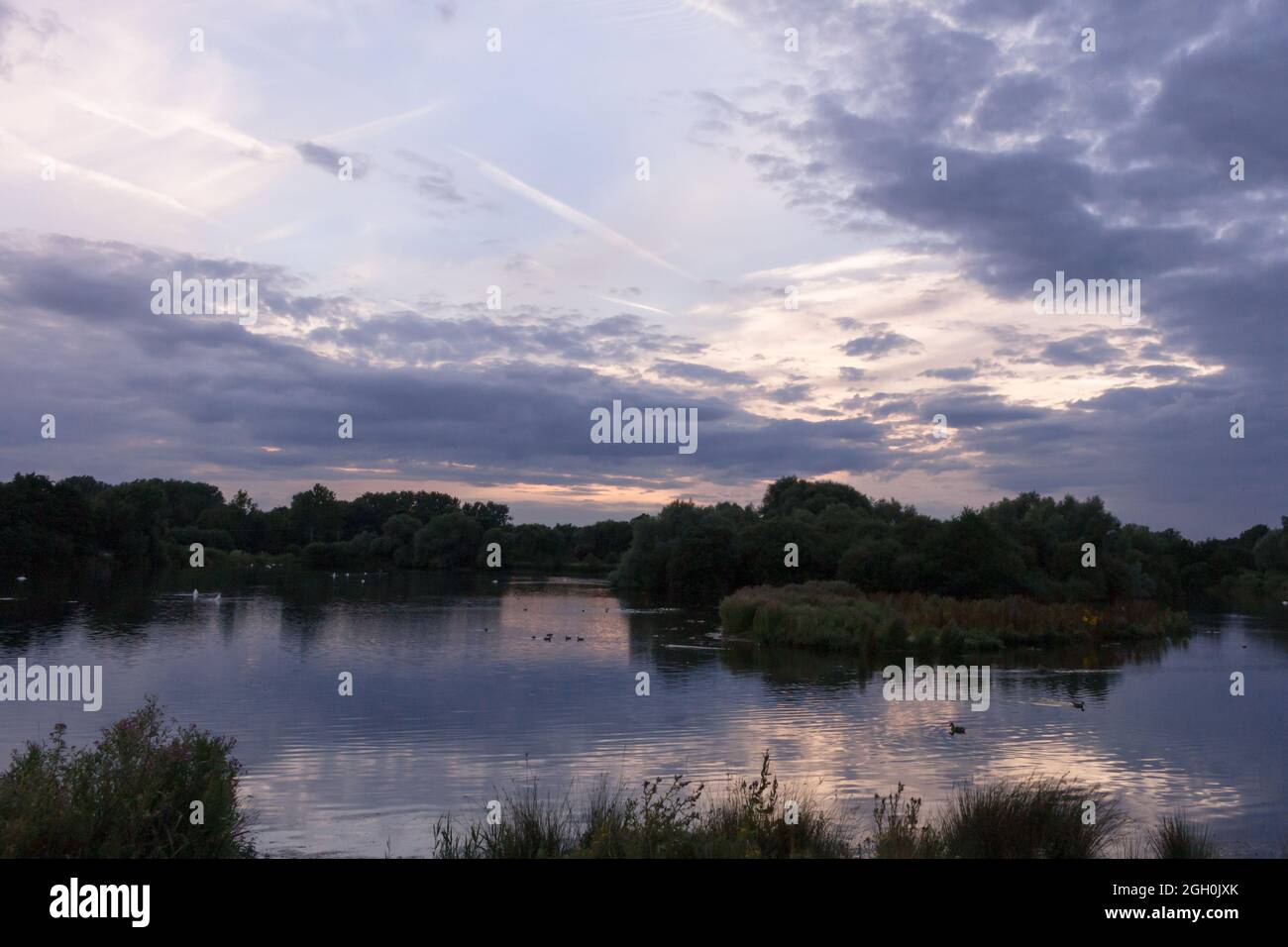 Evening sunset over a lake and trees at Lackford Lakes in Suffolk Stock ...