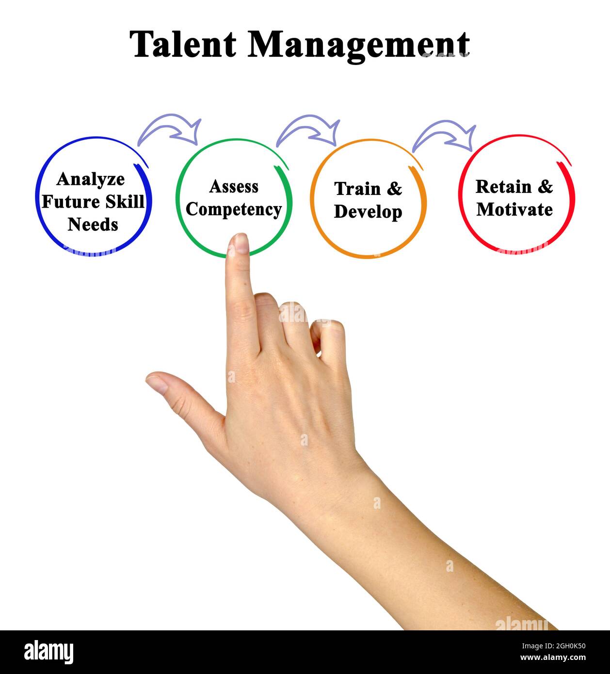 Four Components of Talent Management Stock Photo - Alamy