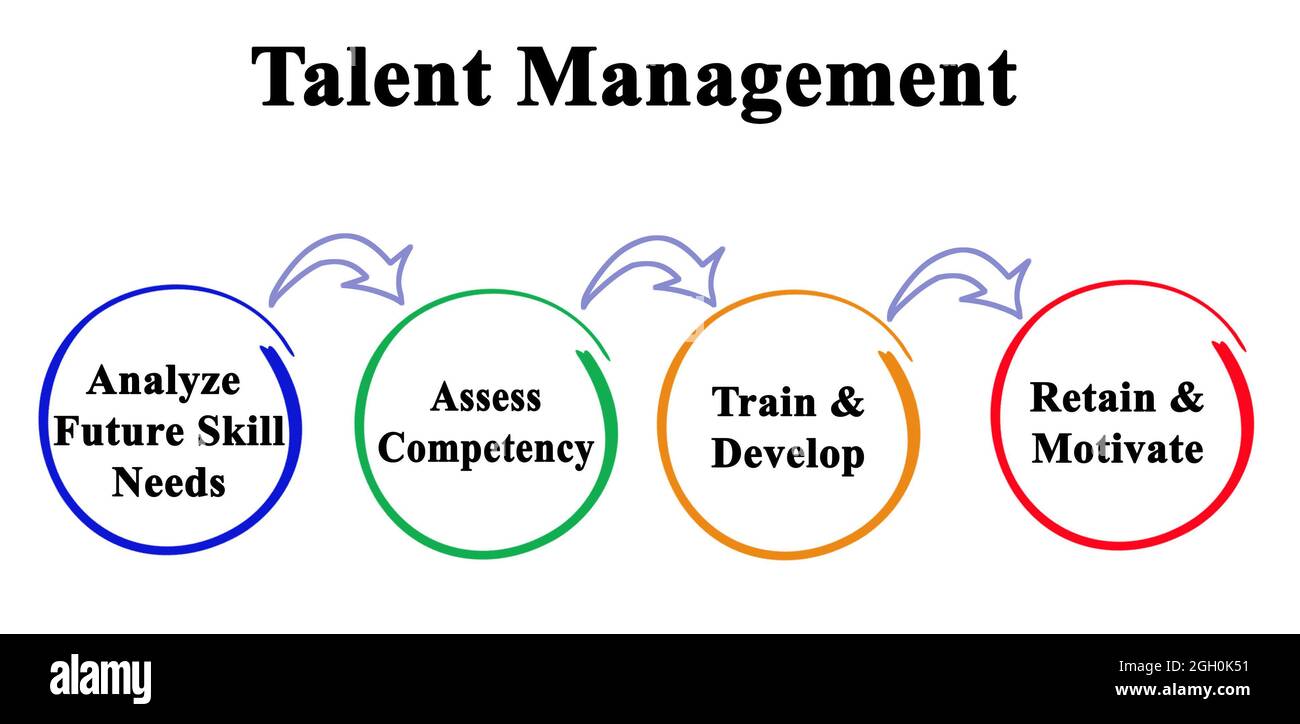 Four Components of Talent Management Stock Photo - Alamy
