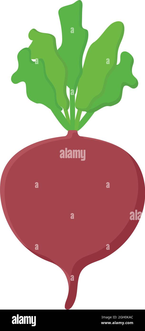 crimson betroot design Stock Vector Image & Art - Alamy