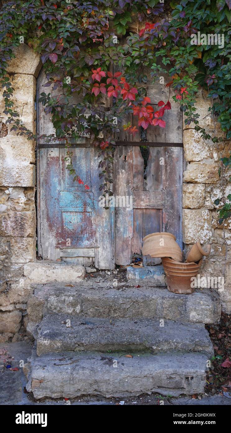 an old traditional wooden door hidden behind plants and in front of it ...