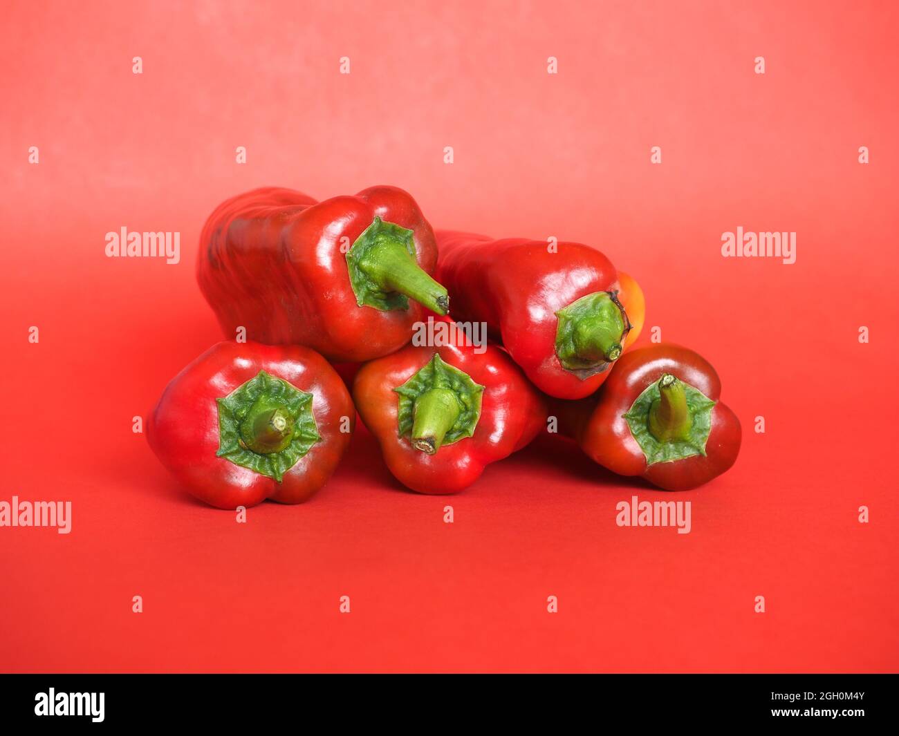 Bell pepper scientific name store