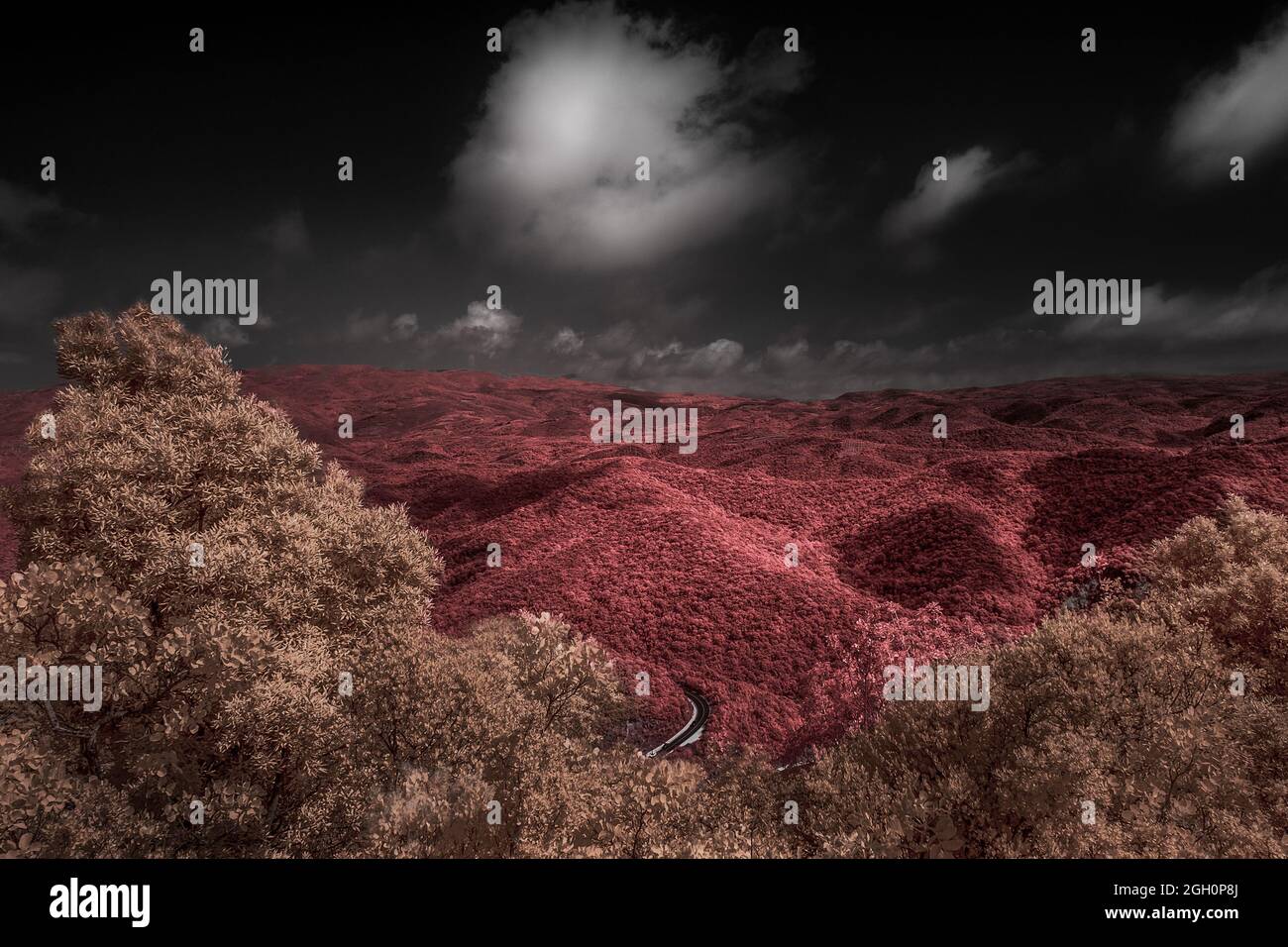 Color infrared photography hi-res stock photography and images - Alamy