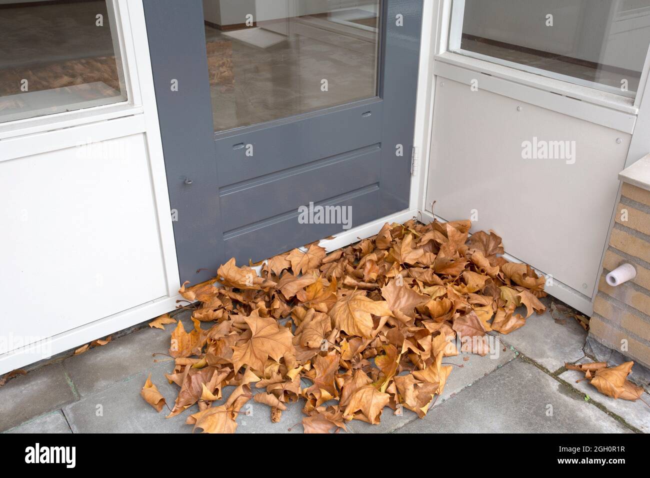 Maple House High Resolution Stock Photography and Images - Alamy