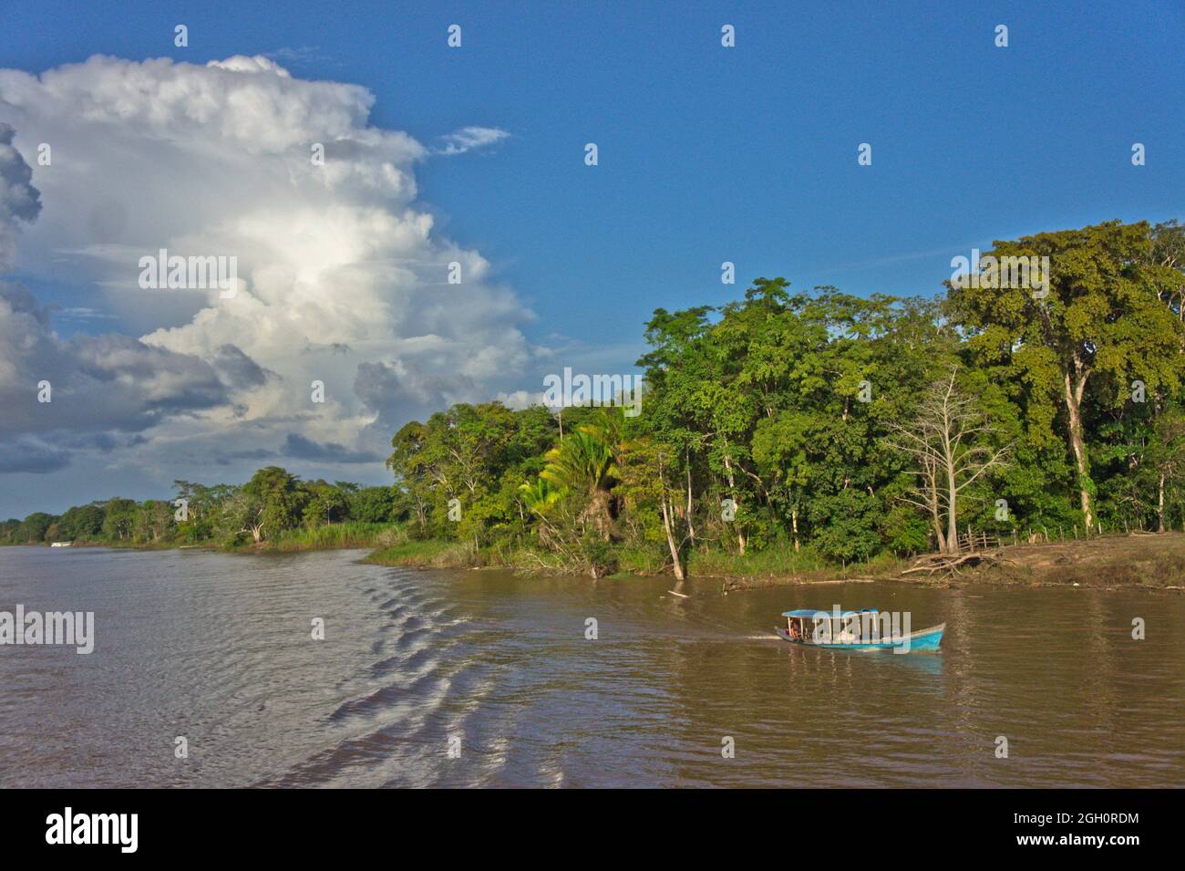 Amazon river view, Brazil, South America Stock Photo - Alamy
