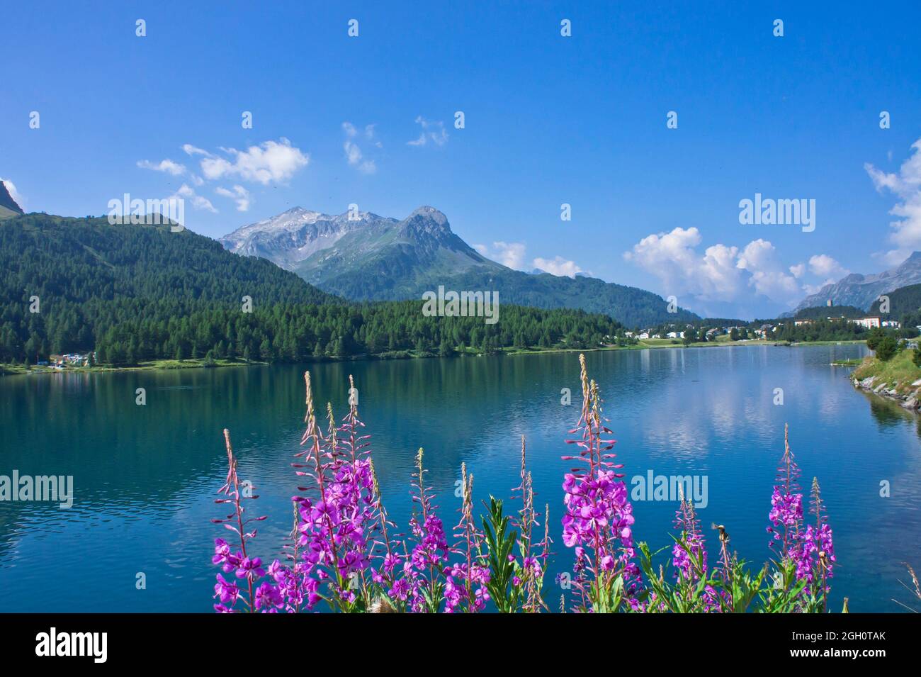 Lago bianco hi-res stock photography and images - Alamy