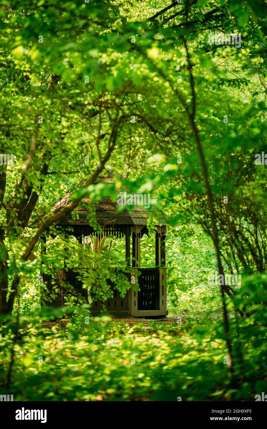 Gazebo in the forest hi-res stock photography and images - Alamy