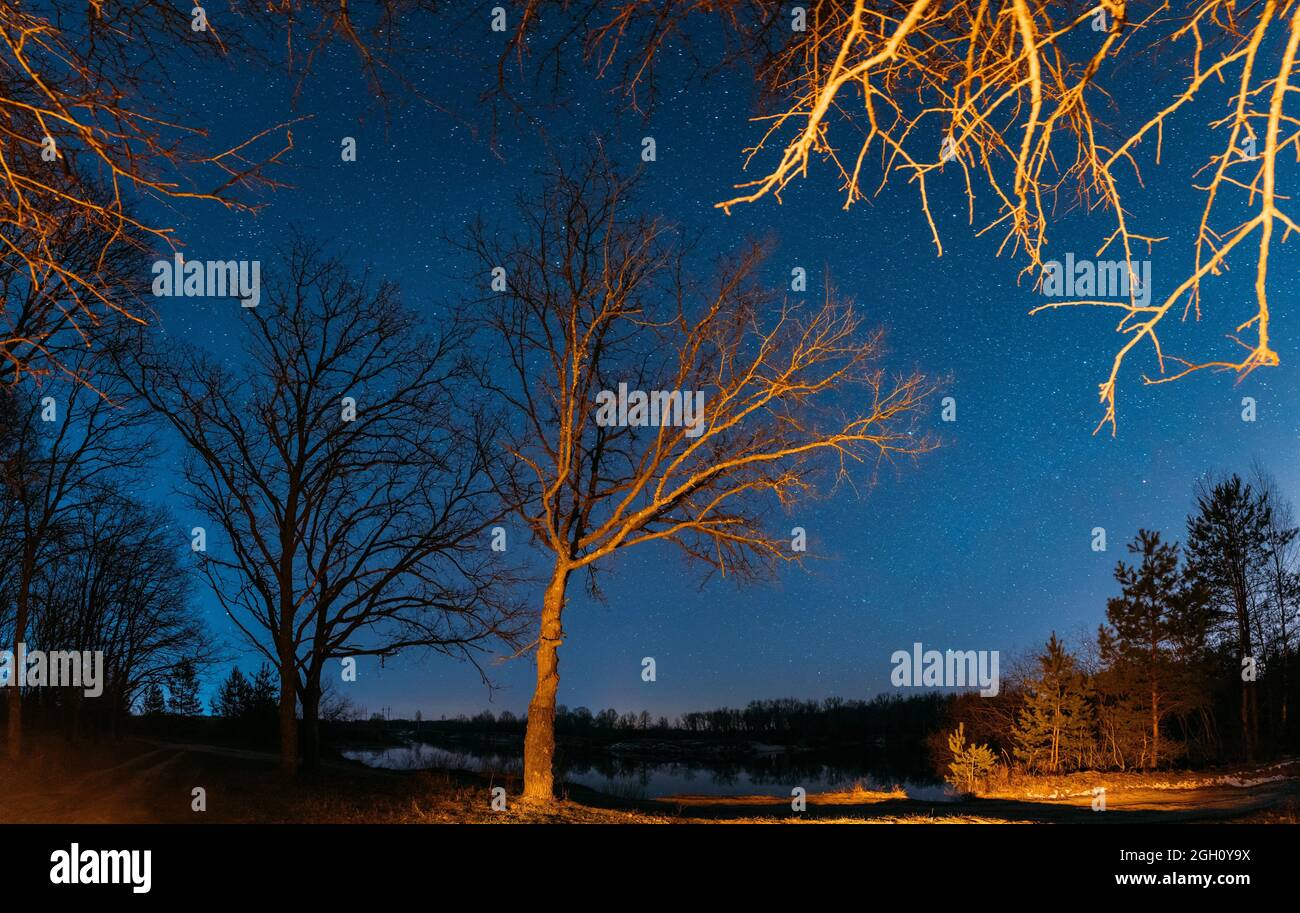 Oak trees at night hi-res stock photography and images - Alamy