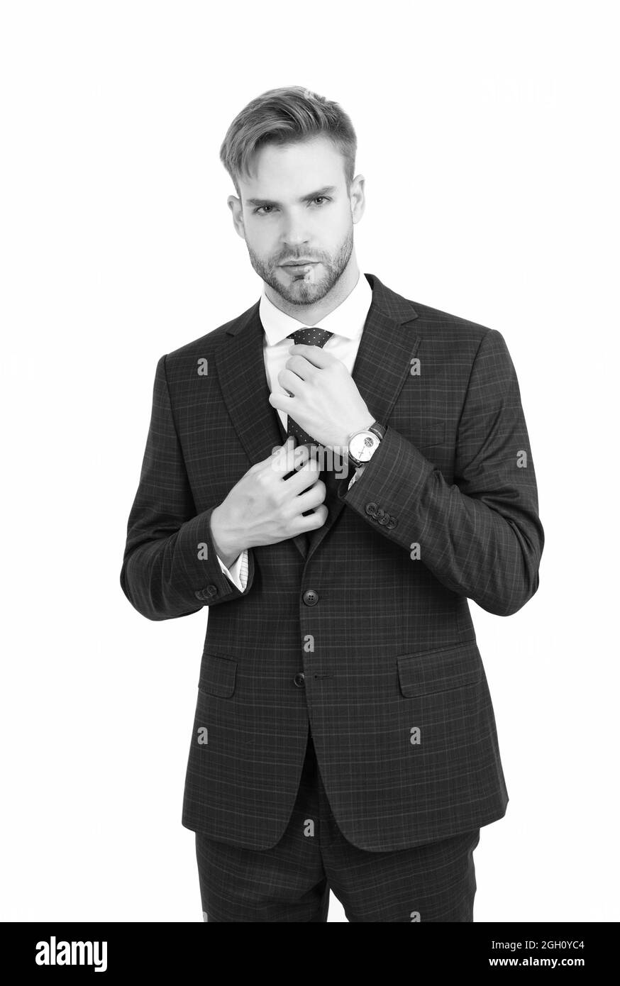 Assistant manager fix necktie wearing elegant vested blue suit in ...