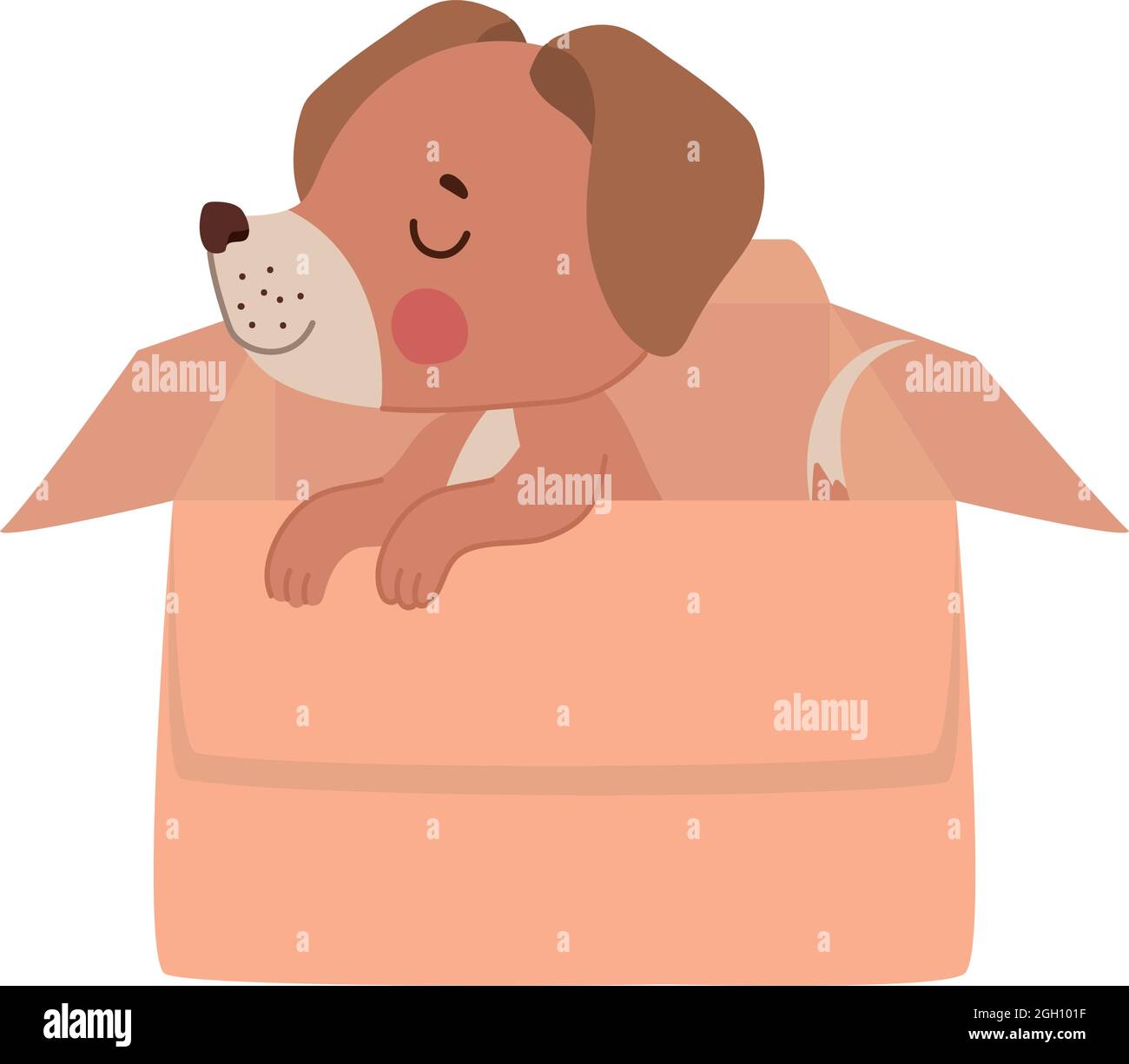 Homeless dog in a box Stock Vector Images - Alamy