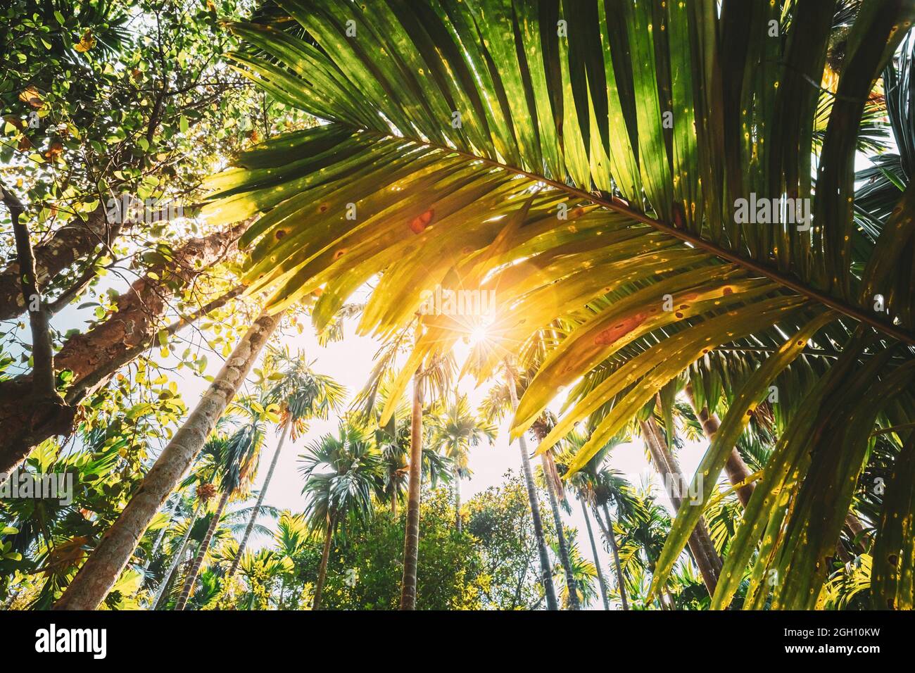 Goa landscape wide angle view hi-res stock photography and images - Alamy
