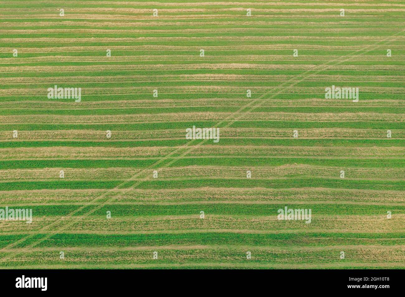 Wheat Field Birds Eye View High Resolution Stock Photography and Images ...