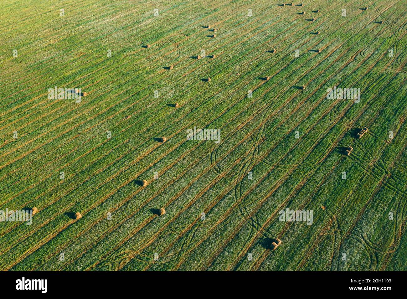 Hayfield field pattern hi-res stock photography and images - Alamy