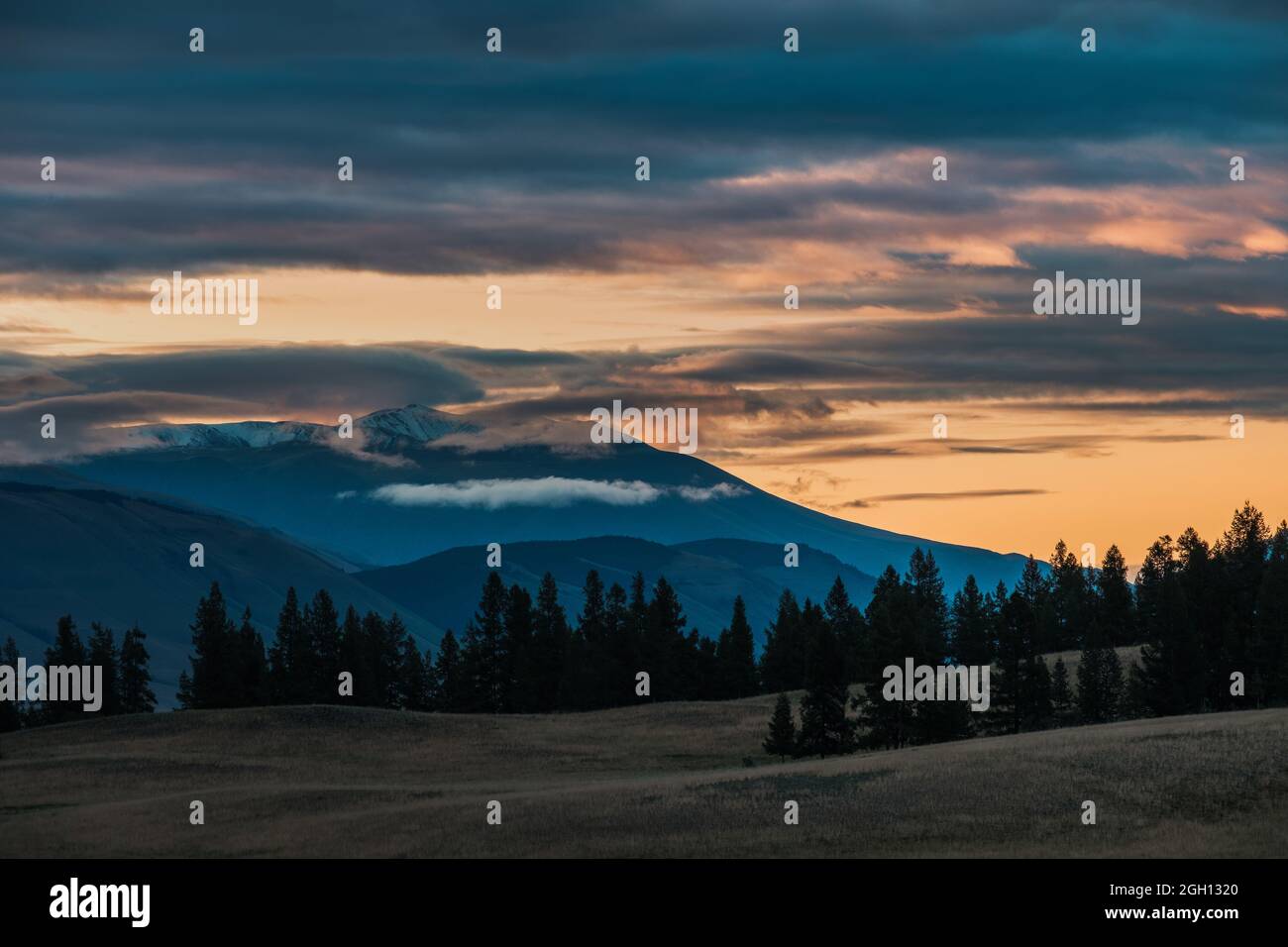 View of the Kurai steppes in the Altai Mountains Stock Photo - Alamy