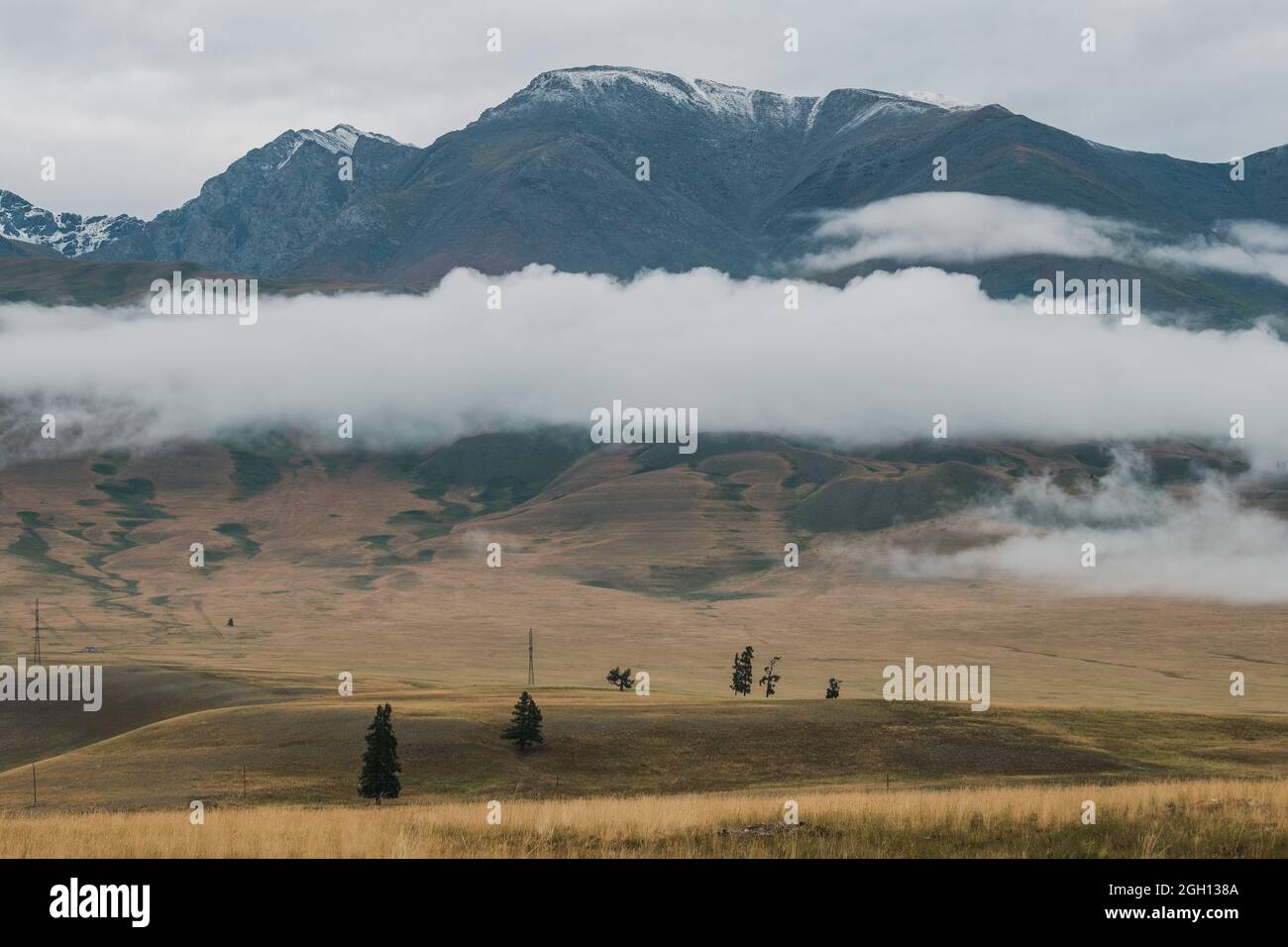 View of the Kurai steppes in the Altai Mountains Stock Photo - Alamy