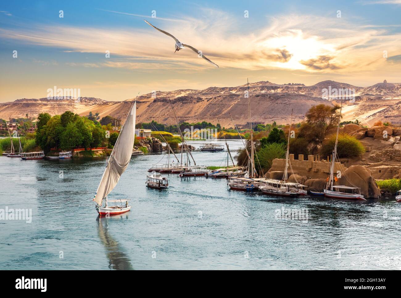 Aswan nature hi-res stock photography and images - Alamy